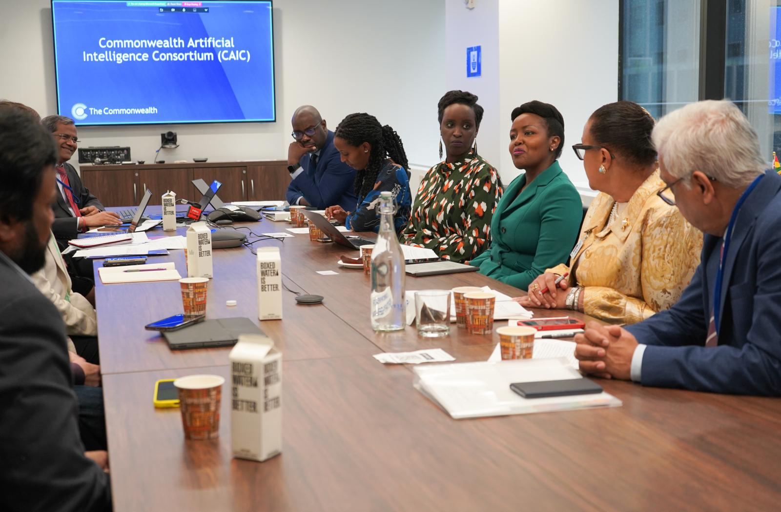 Commonwealth Artificial Intelligence Consortium